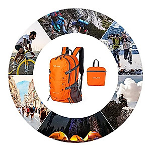 Sharkborough Daypack Backpacks, Orange, 40 Long