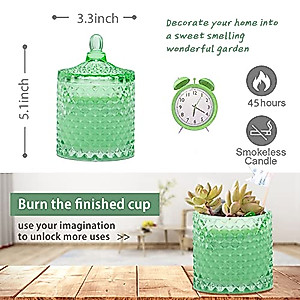 LMQSCH Candle, Scented Candle, Cotton Wicked Large Scented Candle, Luxury Candles Gifts for Women, Natural Soy Wax Aromatherapy Candle, 50 Hours Buring Time, 8.8oz Sage Lavender Mixed