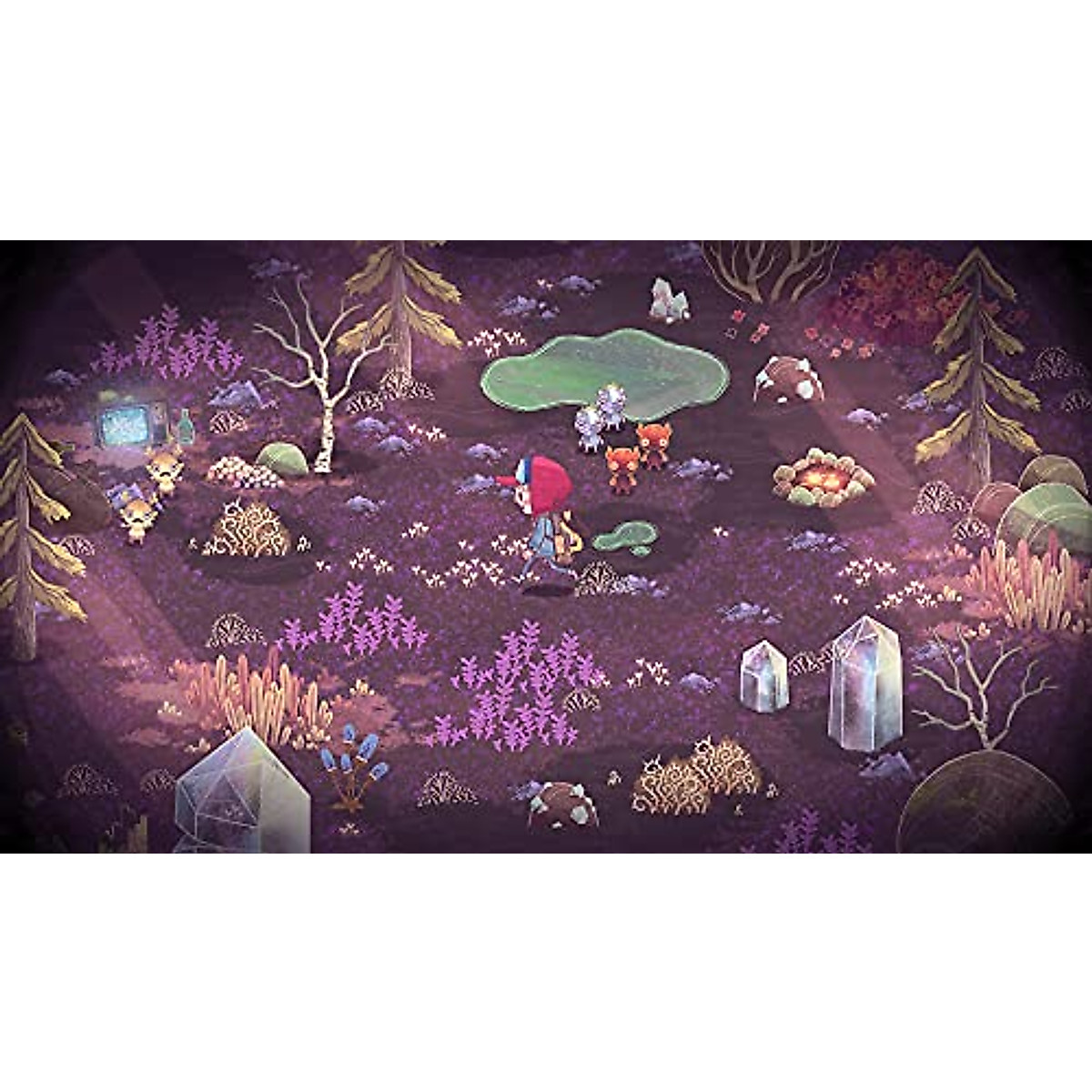 The Wild at Heart - PlayStation 4