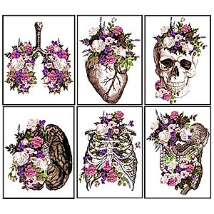 Nurse Gift for Women Wall Art Prints Decor Set of 6 Medical Anatomy Poster, Nurse Graduation, Nurse Practitioner, Physicians Assistant Gift for Doctor Office, Clinic, Med Student Dorm Halloween Christmas 8x10, Unframed