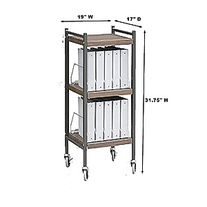Omnimed American Made Mini Chart Rack (Woodgrain)