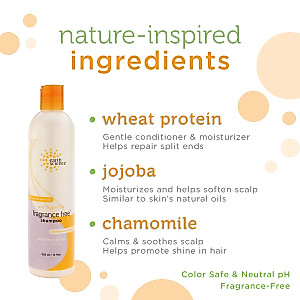 EARTH SCIENCE - Extra Gentle Fragrance Free Shampoo & Conditioner Set (12 oz.)