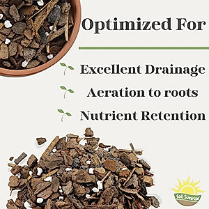 Orchid Potting Soil Mix (2 Quarts); Fast Draining Healthy Media for Planting/Repotting