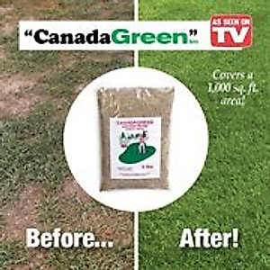 Canada Green Grass Lawn Seed - Grows Healthy Rich Green Grass Lawn Seed Plants Yard Garden 12 Pound Bag