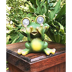 TIBLEN Solar Powered Frog Outdoor LED Garden Light Decor (See - NO)