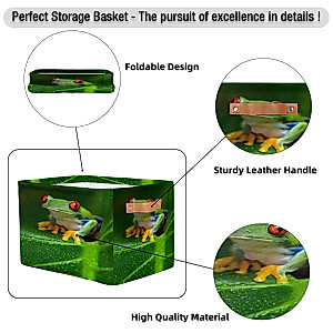 XMNYGJ Tree Frog Palm Leaf Storage Baskets Foldable Large Fabric Storage Bins for Organizing Toys, Clothes, Shelves, Closet, 15x11x9.5 Inches Storage Box with Handles 2-Pack