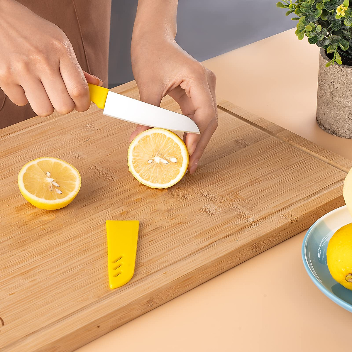 CHUYIREN Paring Knife, 4 Pcs Paring Knife with Sheath, 4" Vegetable and Fruit Knife, Stainless Steel Small Kitchen Knife for Cooking, Peeling, Slicing, Picnics,&Travel, Pink/Green/Yellow/Blue