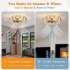 BUXVRCS 19.68'' Flush Mount Caged Ceiling Fan with Lights, Farmhouse Rustic Low Profile Ceiling Fans, 4-Light Vintage Enclosed Ceiling Fan Lighting Fixture Remote Control (Including 5 Bulbs) (White)