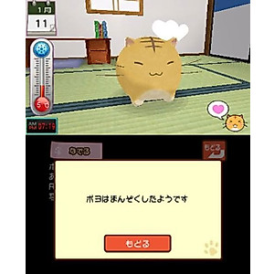 Poyo Poyo Kansatsu Nikki [Tokusouhan] [Japan Import]