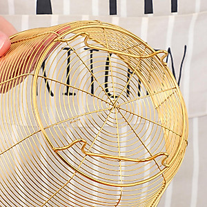 Meisha Round Fruit Bowl, Creative Mesh Fruit Dish Basket Bowl, Round Rainbow Large Metal Wire Storage Baskets, Modern Style Container for Fruit, Vegetables, Bread, Snacks - 8.46" Diameter