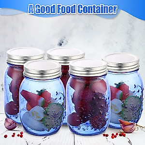 Pinkunn 12 Pcs Mason Jars with Lids 16 Oz Regular Mouth Pint Canning Jars Vintage Glass Jars Bulk Airtight Multifunction Mason Jars for Storage Canning Pickling Preserving Fermenting (Dark Blue)