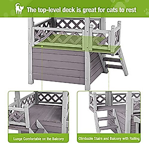 Cat House with Door for Feral Cats, Rainproof Outside Kitty House, 2 Story Wooden Kitten Condo with Stairs (AIR09-BS)
