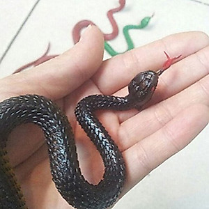 ZHANGLI Fake Snake, Small Rubber Snakes Simulation Snakes Realistic Rain Forest Snakes Toys for Halloween Party Animals Prank Funny Toy