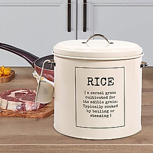 Stainless Steel Rice Storage Box with Lid and Spoon, Large Food Storage Containers, Great Rice Canisters Sets, Kitchen Countertop Organizer Jar for Rice/Flour/Soybean/Grain, Style B