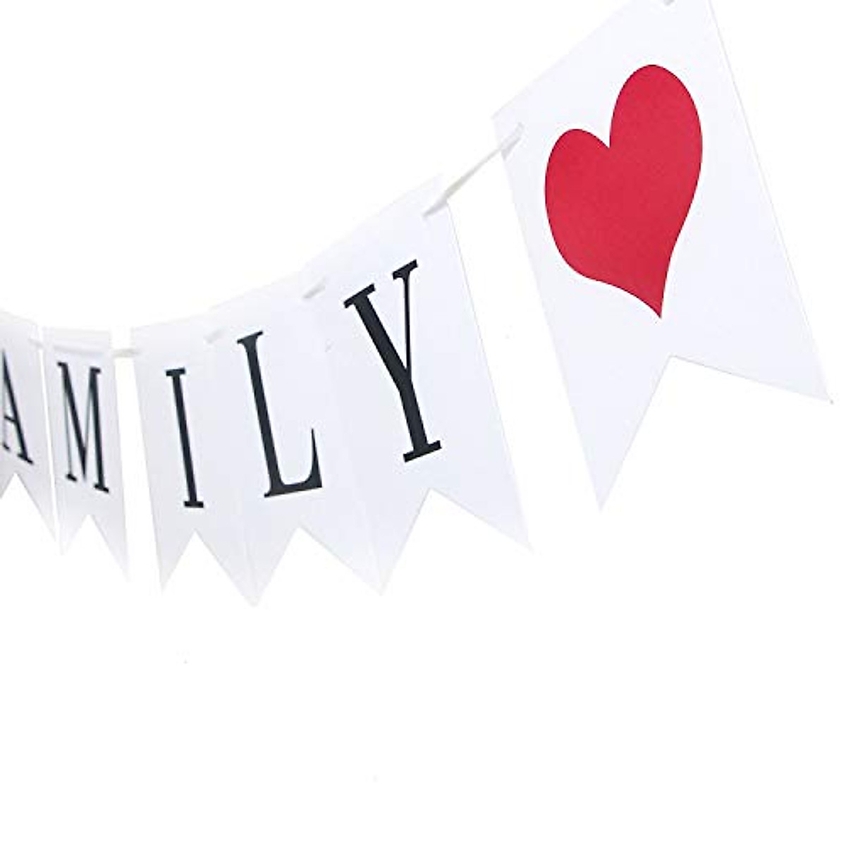 Family Bunting Banner Family Photo Prop Family Reunion Party Banner for Family Party Home Decoration - WE are Family