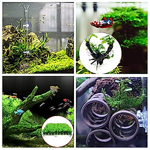 YiePhiot 16 Pcs Aquarium Suction Cups with 16 Pieces Adjustable Zip Ties for Aquarium Fish Tank Binding Moss, Plants, Shrimp Dodging Nest