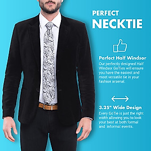 GoTie Paisley Neckties For Men - Ready to Wear - Pretied Adjustable Neckties - Silver Paisley Tie