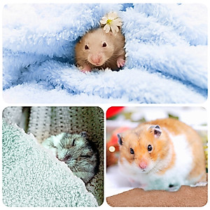 QUACOWW 10 Pieces Guinea Pig Blanket, Rabbits Hamster Fleece Cage Liners, Small Animals Bedding Mats, Soft Guinea Pig Accessories Bathe Towels for Small Animals Pets Dog Puppy Cat