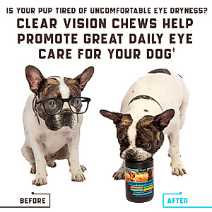 Eye Vitamins for Dogs - Dog Vision Supplement for Tear Stains, Dog Eye Care, Immune Support - Vitamin С, Carrot, Fish Oil, Lutein - 180 Soft Chews with Duck Flavor - for All Breeds and Ages