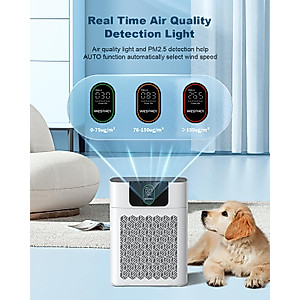 WESTHEY Official Genuine HY4866 Replacement Filter TRUE HEPA Filter, Four-layer high-efficiency purification filter Suitable for WESTHEY HY4866 Air Purifier, Pet Filter 2 PCS