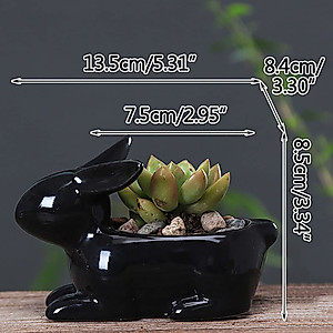 YONGYAN Rabbit Flower Pot Statue Decoration Ceramics Garden Planters Containers Pot Bookshelf Office Animal Desktop Decor (Black)