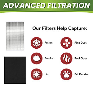 GOFIL 2 Pack Replacement Filters Include 2 HEPA & 4 Carbon Pre-filters Compatible with Air Purifier Model HPA200 series, HPA204, HPA250, and HPA5200, HRF-R2