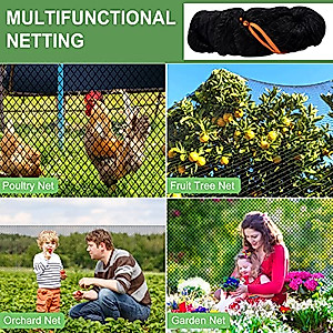 Bird Netting - 25’ x 50’ Garden Netting with 1” Square Mesh as Poultry Netting for Chicken Coop Roof, Heavy Duty Bird Netting for Garden Protection, Nylon Garden Mesh Netting for Fruit Tree, Bushes