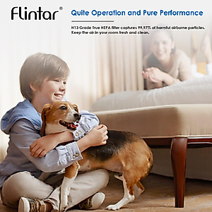 Flintar MK04 True HEPA Replacement Filter, Compatible with AROEVE Air Purifier MK04, MG04JH and DH-JH04, H13 Grade True HEPA Filter, 2-Pack