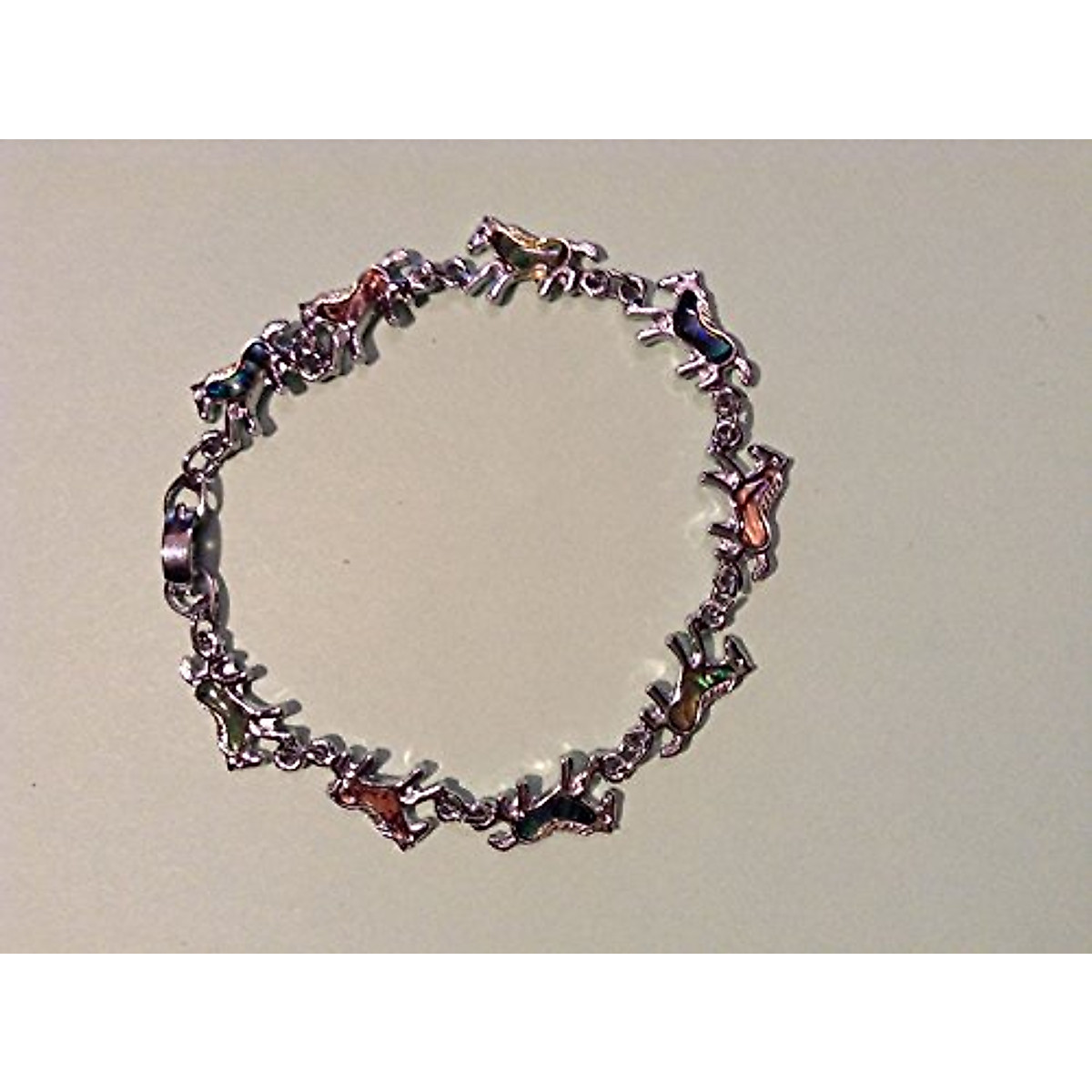 Shell of the Sea This horse Paua shell link bracelet is so cute & 7"1/2 long