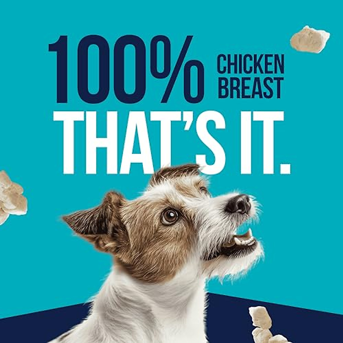 Stewart Single Ingredient Freeze Dried Raw Dog Treats, Chicken Breast, 3 Ounce Resealable Pouch, Training Treats or Meal Topper for All Size Dogs, High Protein, Grain-Free, Gluten-Free