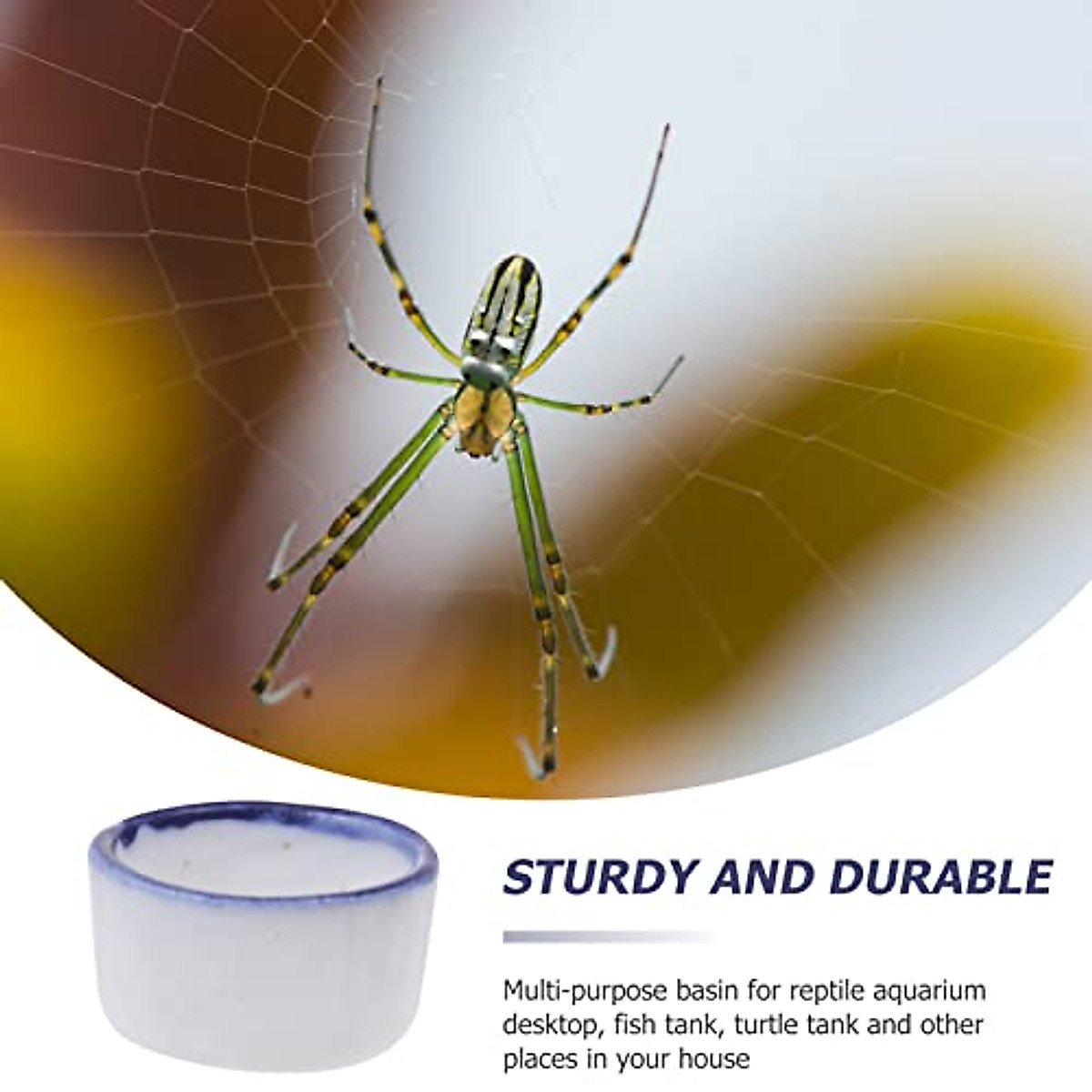 Ipetboom 12pcs Reptile Food Dish Bowl, Worm Dish Ceramic Pet Bowls Terrarium Bowls Reptile Water Sink for Leopard Gecko Bearded Dragon Tank Accessories, 2x2x1cm