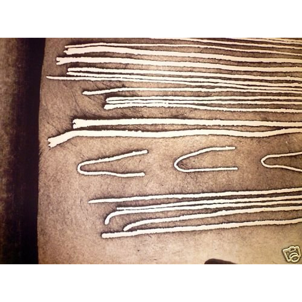 ADJA YUNKERS "ECHO IN GREY" SIGNED & NUMBERED ETCH