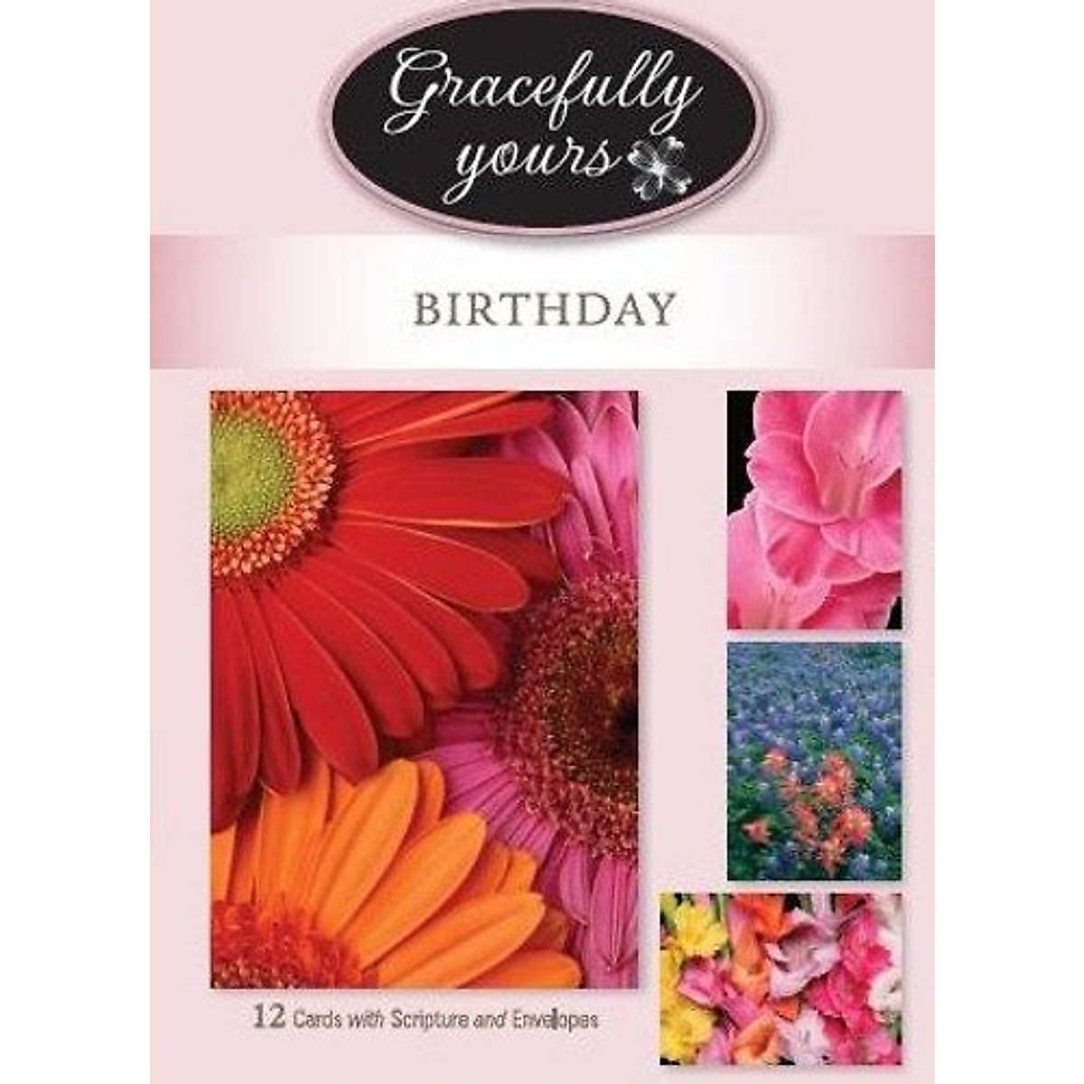 Birthday - "Rejoice" - KJV Scripture Greeting Cards - Boxed - (Box of 12)
