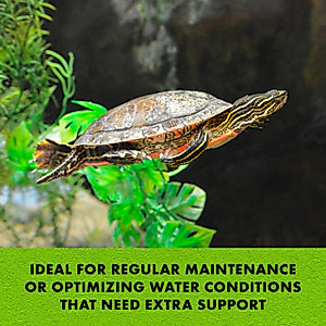 Zilla Pet Turtle Miracle Ball, Odor and Sludge Remover, for Cleaner and Healthier Turtle Habitats and Aquariums, Treats up to 50 Gallons