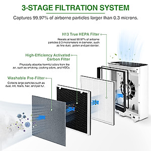 4 Pack Vital 100 True HEPA Replacement Filter Compatible with LEVOIT Vital 100 Air Purifier, 3-in-1 H13 Ture HEPA and High-Efficiency Activated Carbon Filters, Replace Part # Vital 100-RF