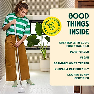 Aunt Fannie's Floor Cleaner Vinegar Wash Concentrate - Multi-Surface Cleaner, 32 oz. (Single Bottle, Bright Lemon)