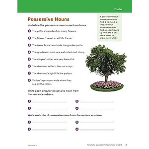 Scholastic Success with Grammar Grade 3 Workbook