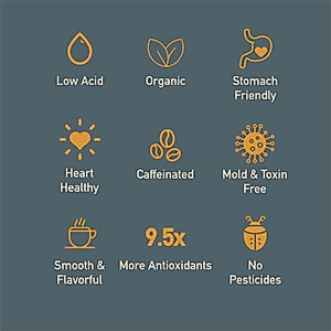 Healthy Bean Low Acid Coffee Pods, Superfood Infused, USDA Organic, Mycotoxin Free, Semi-Dark Roast, 12 Pack