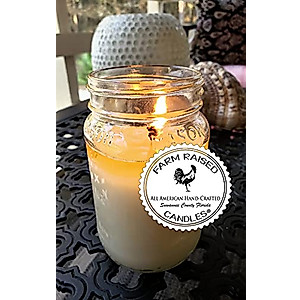 Nag Champa Oil Soy Candles - Large 16 Ounces / All American Handcrafted - Farm Raised Candles - Plant Candle - 80+ Hour Burn - 100% Natural American Farmed Soy Wax Candles. Incense Candle.