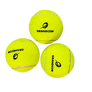 GRANDCOW Beach Tennis POP Paddle Ball Natural Rubber with Great Flex Elasticity (12 Balls)