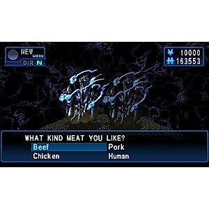 Shin Megami Tensei: Devil Summoner: Soul Hackers - Nintendo 3DS