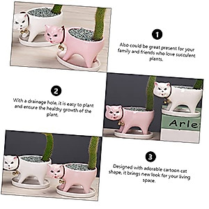 HANABASS Decoration Animal Lovely Tail Pink Decor Gift and Saucer Office Cat Desktop Planter Plant Shaped Drainage Bonsai Flowerpot Mini Panda Pots with for Statue Decorative Pot Home Tray
