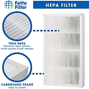 Fette Filter - True HEPA AirPurifier Filter Replacement Filter, 9" x 15" Compatible With 3M Filtrete FAPF02 & FAPF024 for model # FAP01-RMS, FAP02-RMS, FAP02 - Pack of 2
