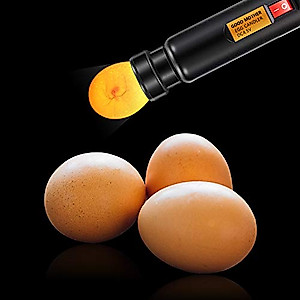 GOOD MOTHER Bright Cool LED Light Egg Candler Tester Incubator for Chickens Ducks Birds Eggs - Powered by Power Cable Only