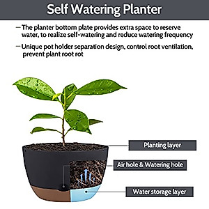 EURCRBU 2 Pack Hanging Planters for Outdoor Indoor Plants, 10 Inch Plastic Outdoor Hanging Planter, Hanging Flower Pots for outside with Drainage Holes & Removable Saucer for Garden Home (Dark Grey)