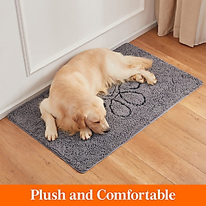 Lifewit Chenille Indoor Doormat Traps Mud and Water, Non Slip Low-Profile Rug Doormats for Muddy Shoes and Dog Paws, Machine Washable Doormat for Pet Entry, Back Door, Mud Room, 24 × 36 in, Grey