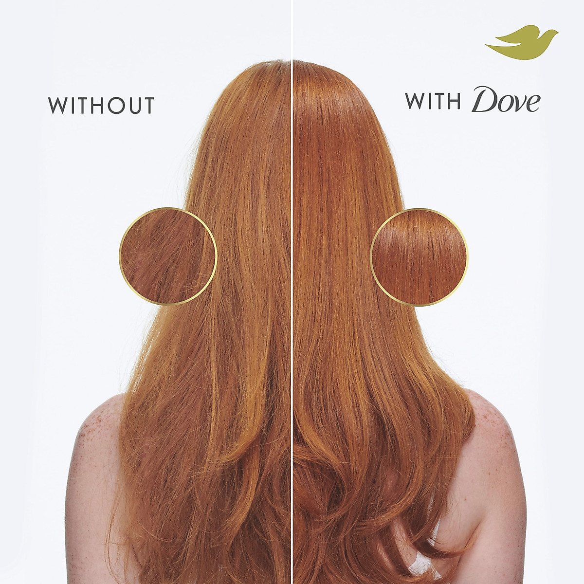 Dove Shampoo and Conditioner 2 Count for Damaged Hair Intensive Repair Bio-Protein Care Technology and Amino Serum 12 Fl Oz