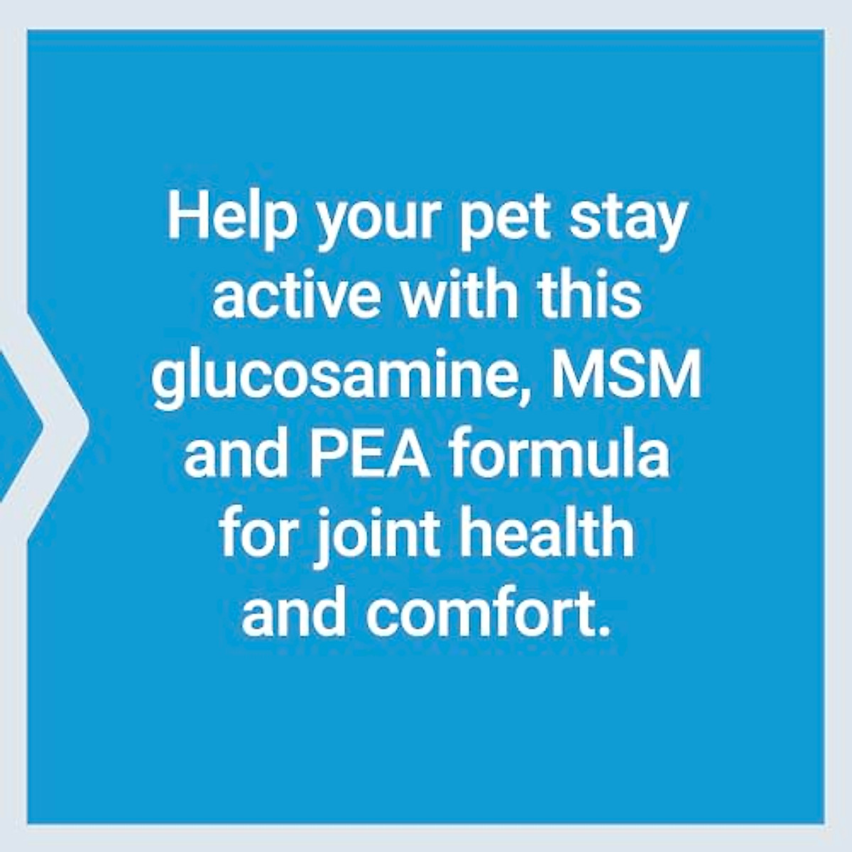 Life Extension Dog Hip & Joints - Dog Health Supplement for Joint Health and Joint Comfort - Glucosamine, MSM, Pea, Beef Flavor - 90 Soft Chews