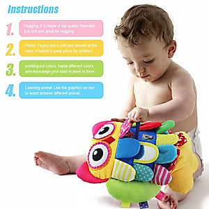 teytoy My First Baby Toys-Who Do You See, Baby Crinkle Activity and Teething Toy with Multi-Sensory Rattle and Textures, Owl