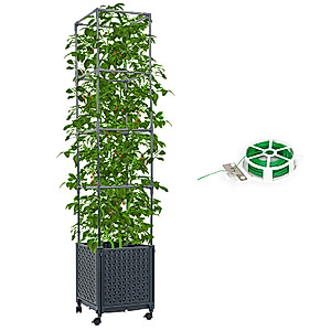 DXront Raised Garden Bed with Tomato Cage 56.7” Self Watering Tomato Planter Boxes with Trellis Wheels for Outdoor Climbing Flowers Vegetable Vine Vegetables